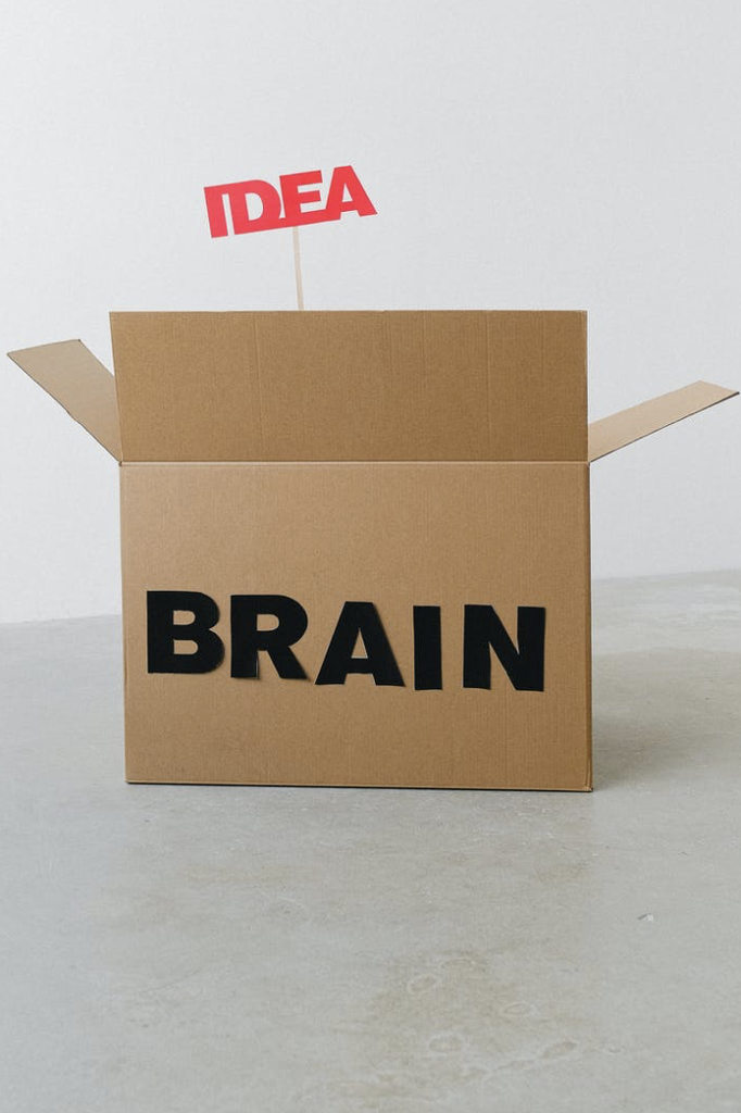 Pablo Picasso’s Brain | Mentiness